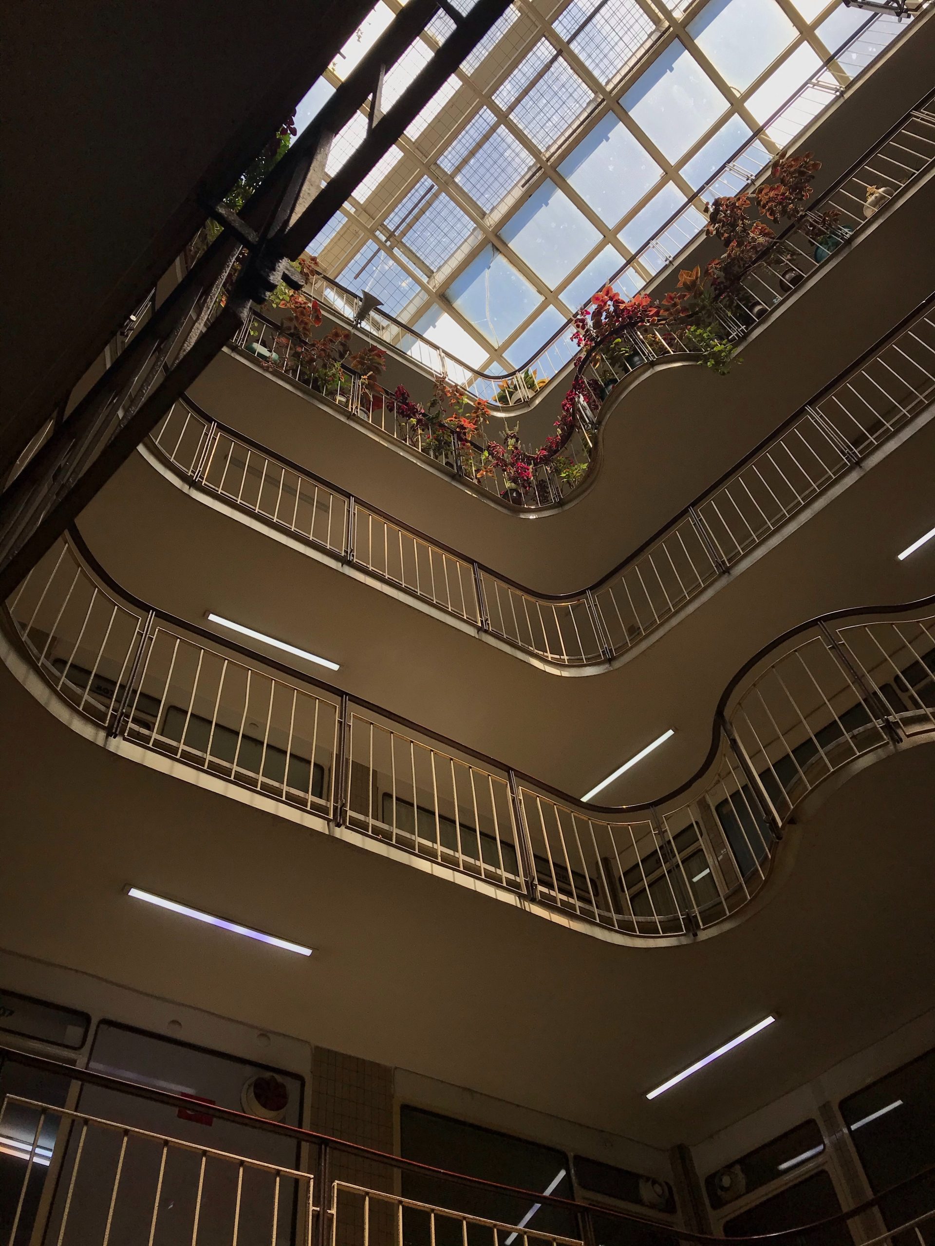 Living here - Poplin